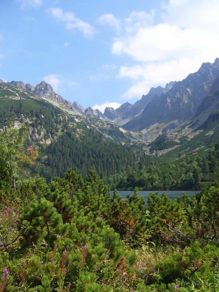 Curso de Gestión de Espacios Naturales Protegidos