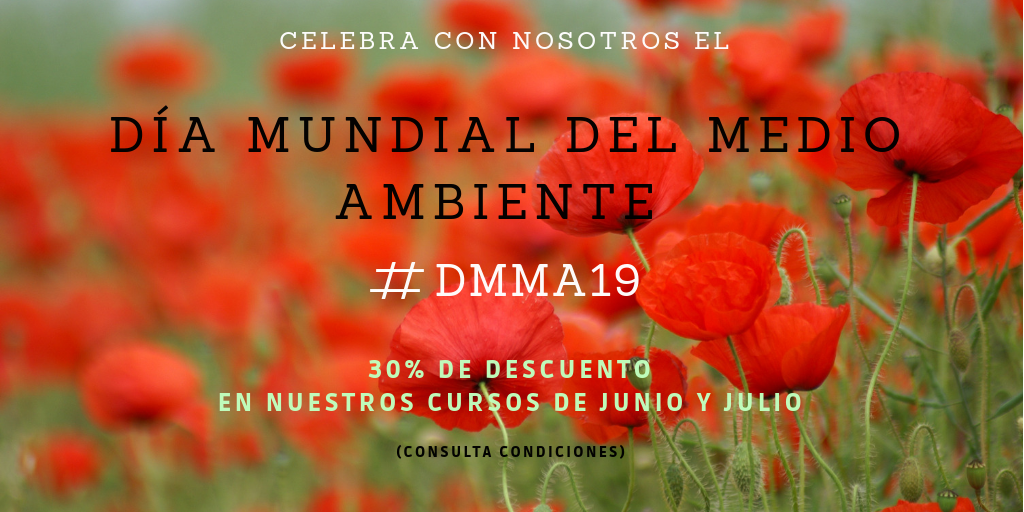Celebra con nosotros el Día Mundial del Medio Ambiente